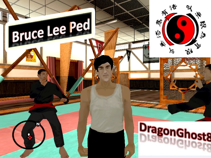 GTAGarage.com » Bruce Lee Ped Screenshots